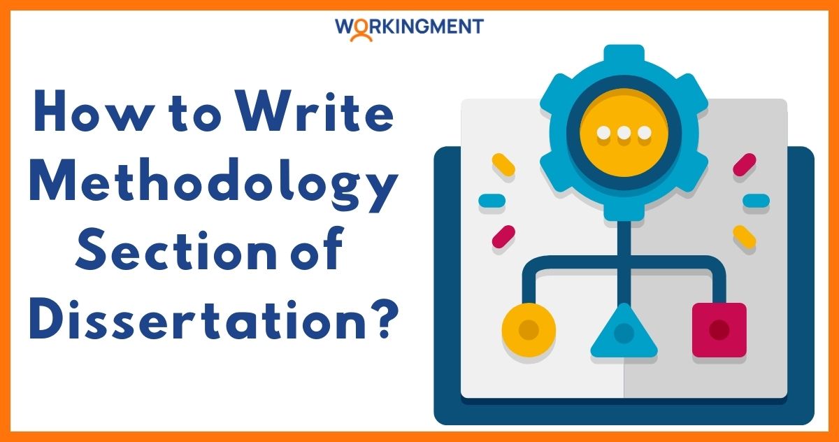 How To Write A Dissertation Methodology?